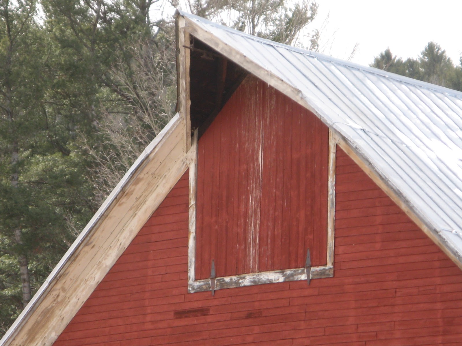 Animal Instinct: April Barns