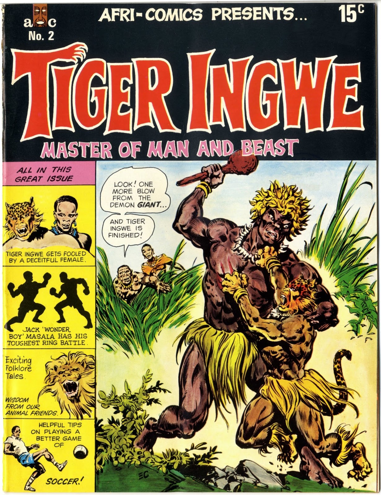 South African Comic Books: Afri-Comics Tiger Ingwe Series