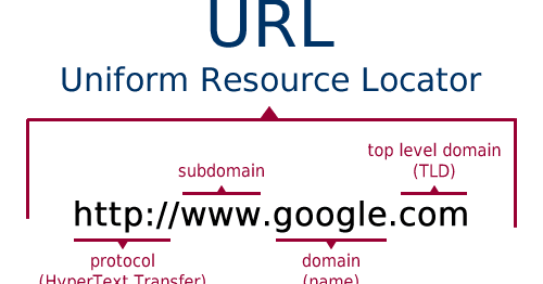 Importance of Domain Name and the URLs in SEO