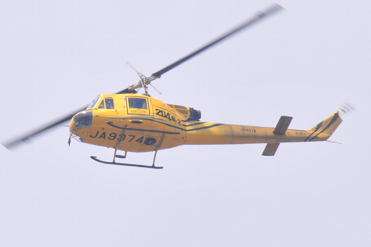 へりとりぶろぐ: 家事手伝いの御褒美