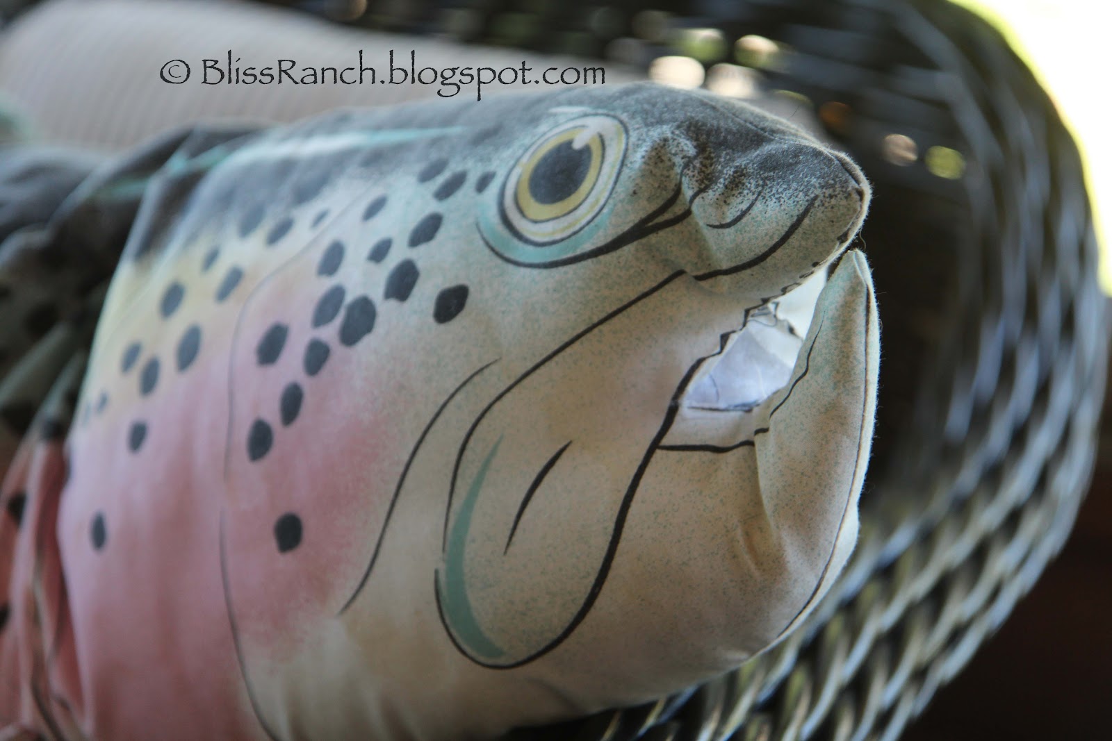 Bliss Ranch: The Pillows Of Bliss Ranch