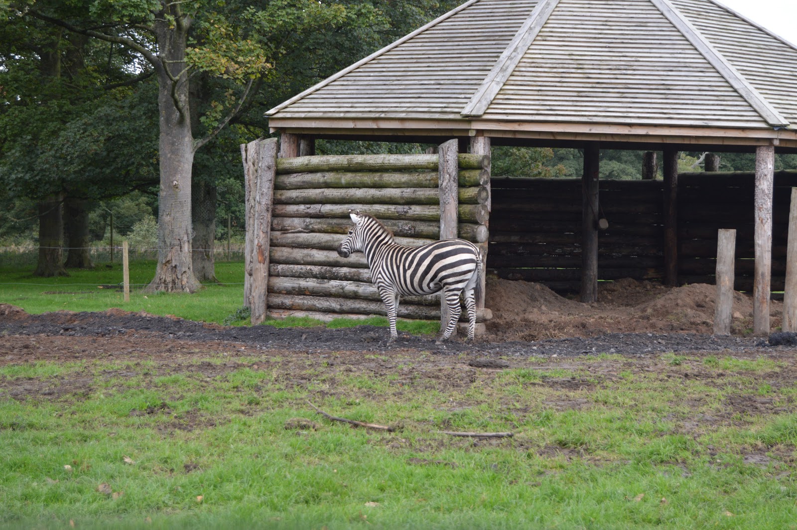 Playdays and Runways: Days Out | Knowsley Safari Park