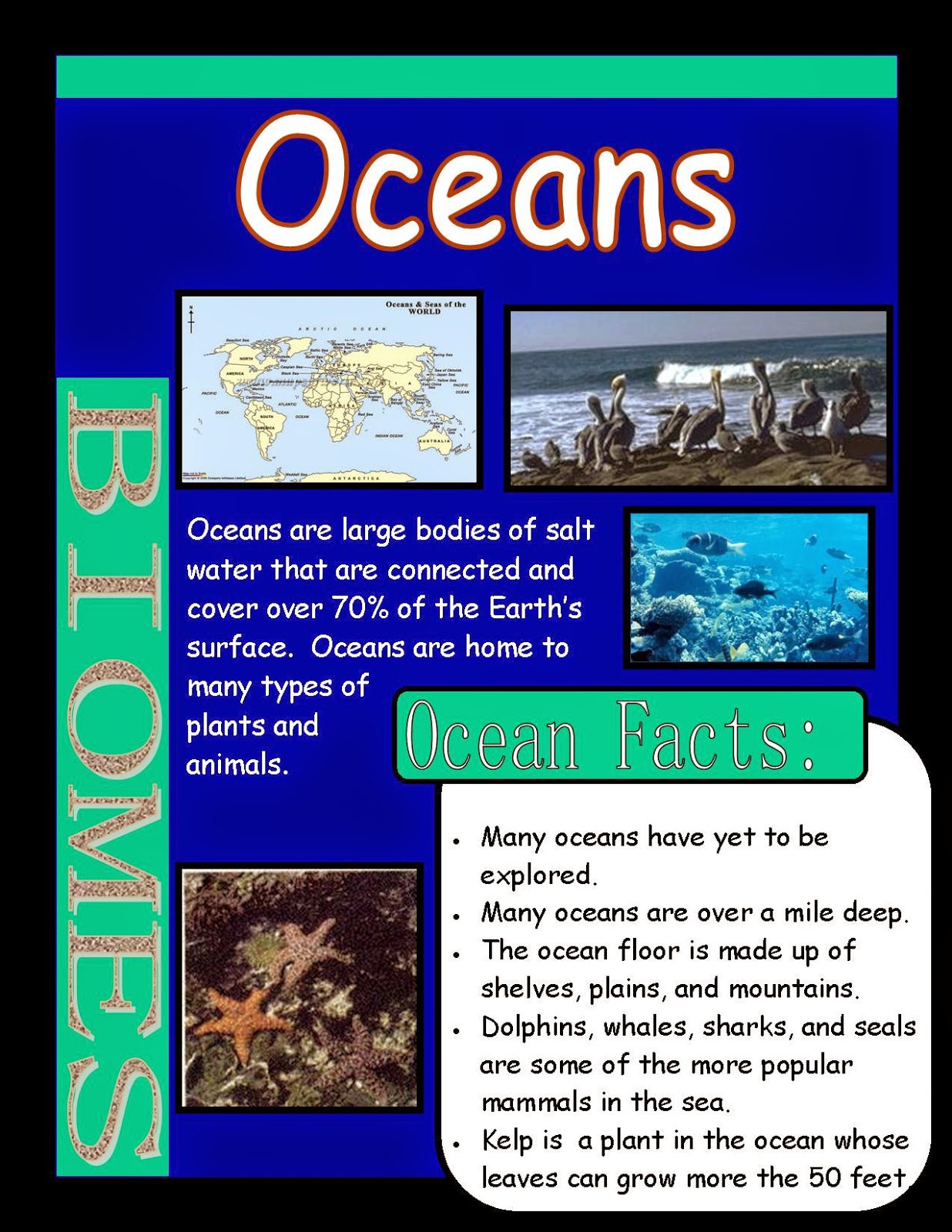 Once Upon a Creative Classroom: Book Adventure and a Friday Flash FREEBIE!