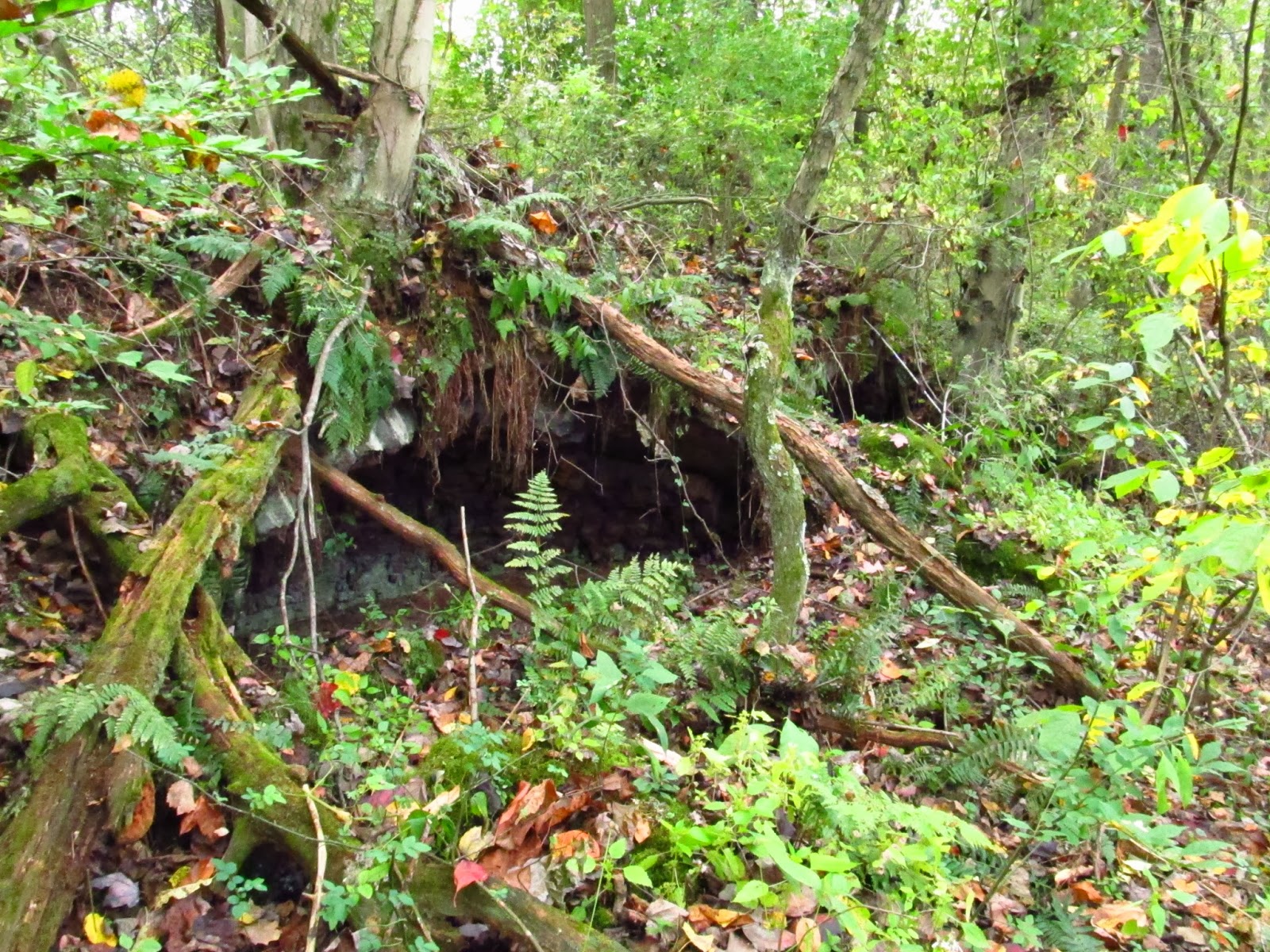 Old Industry of Southwestern Pennsylvania : Southwest No. 3/Tarrs, PA