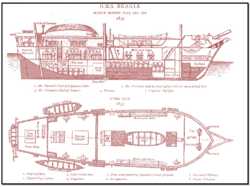 RENACE EL BEAGLE DE DARWIN