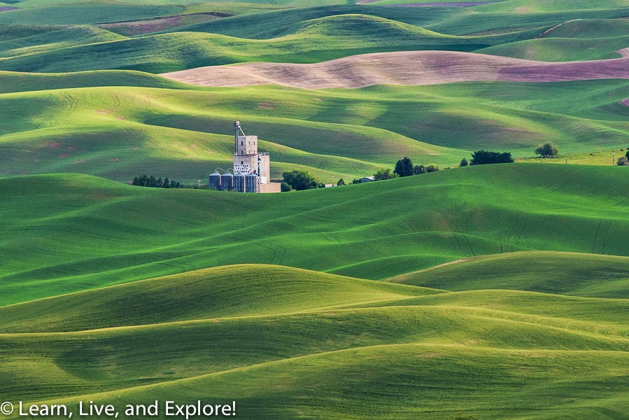 Scenes from Palouse, Washington - Life on the Farm ~ Learn, Live, and ...