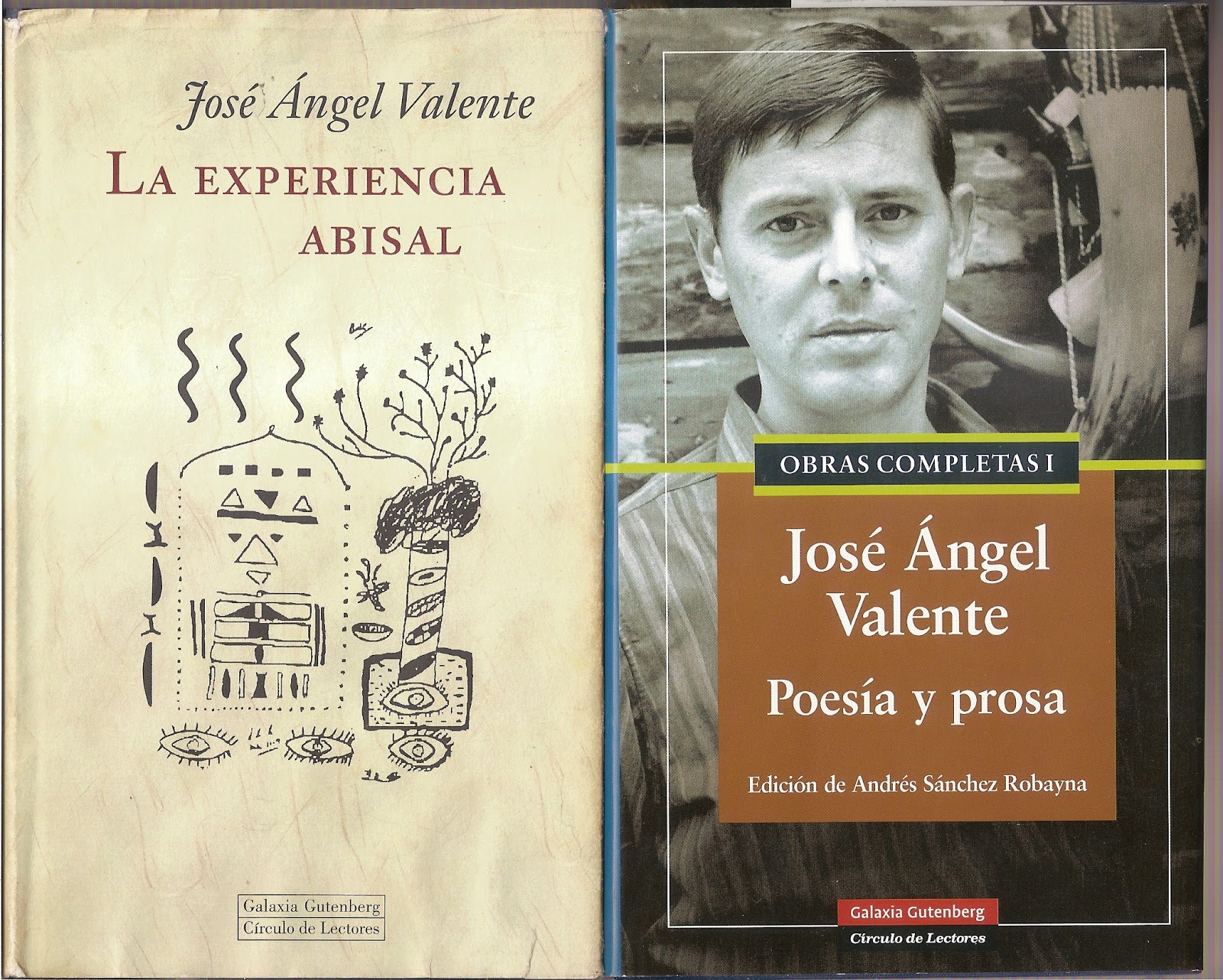 MIS [RE]LECTURAS: LA EXPERIENCIA ABISAL / OBRAS COMPLETAS, José Ángel ...
