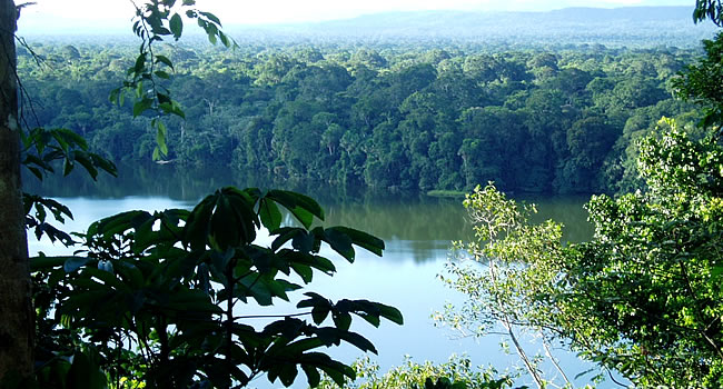 Turismo en Bolivia: Parque Nacional Madidi
