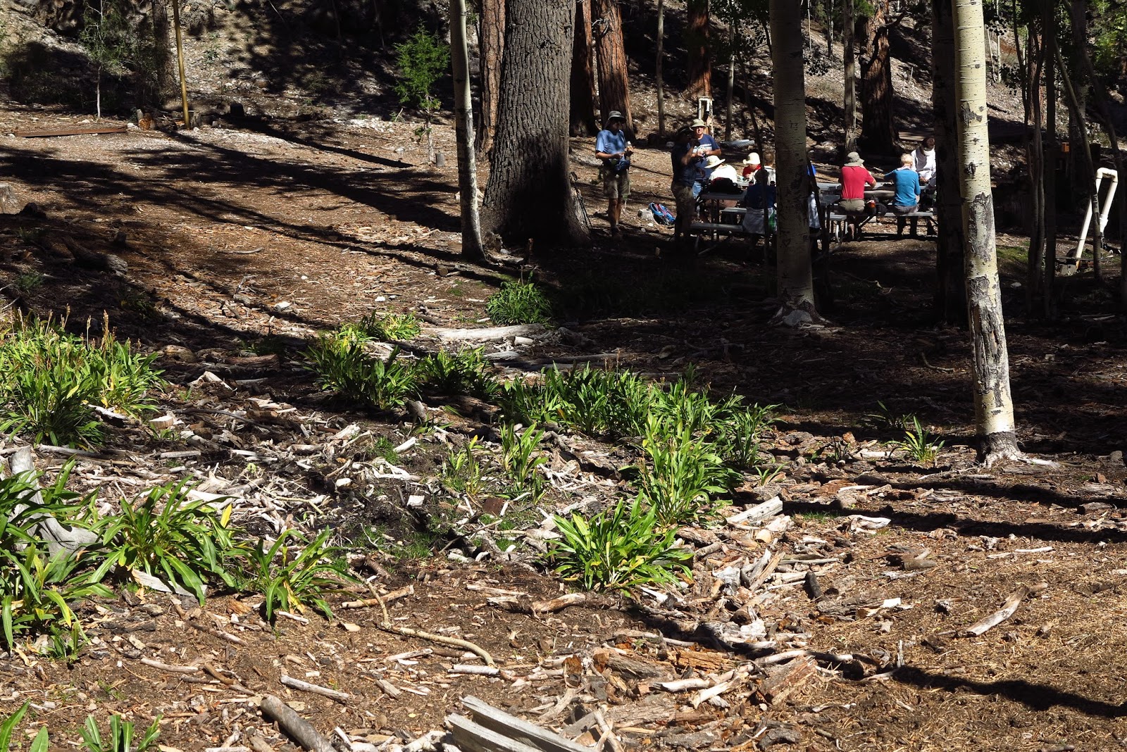 Around the Bend Friends ®: Mormon Girls' Camp (Camp Stimson) Loop - 9/18/15