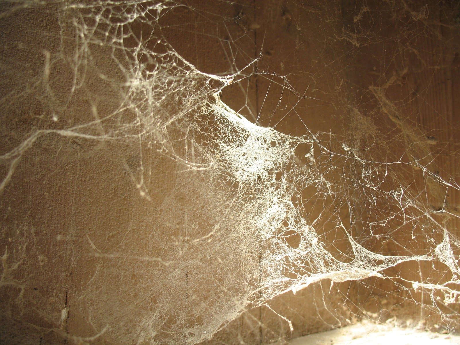 beneath the surface: victorian cobwebs