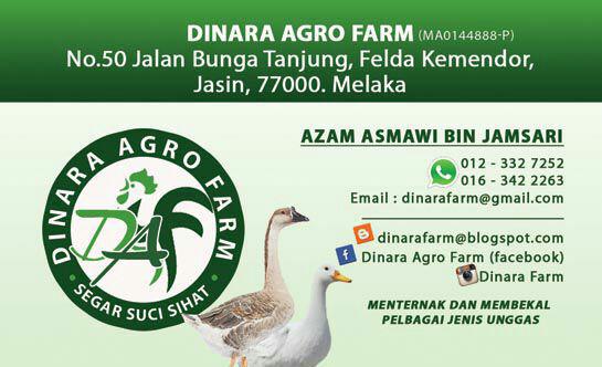 DINARA AGRO FARM: ANAK ANGSA PUTIH DAN KELABU GOOSE