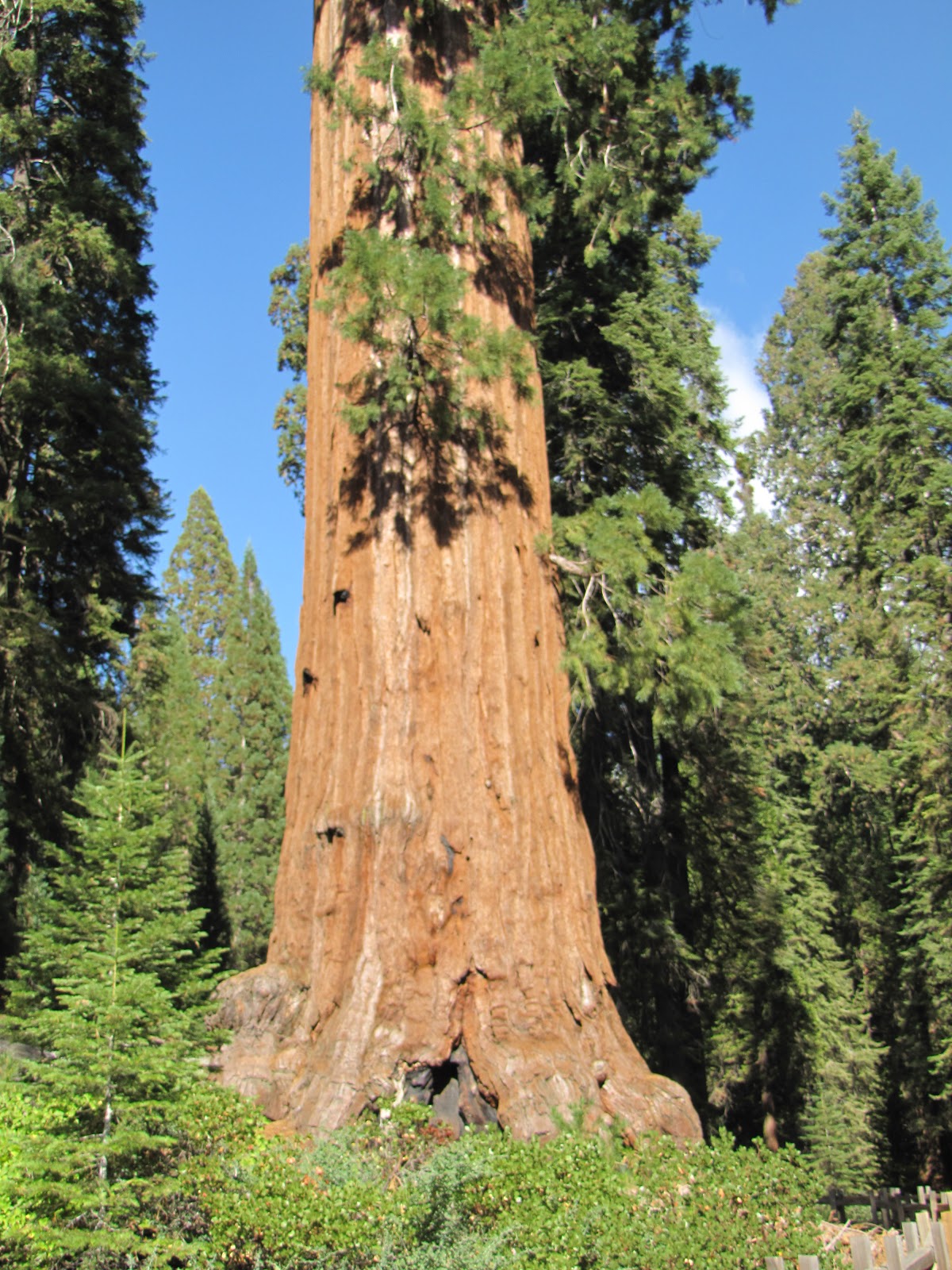 To Behold the Beauty: 2011