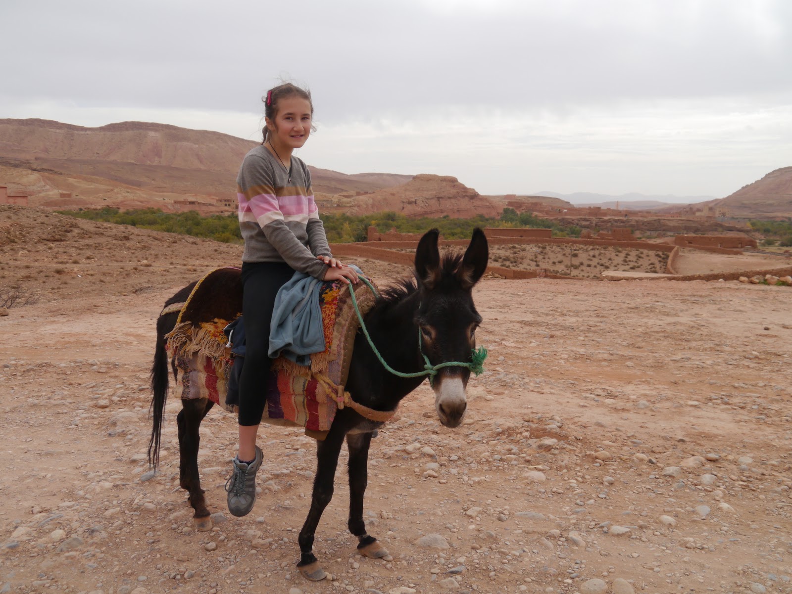 pimlico4: A donkey ride and cooking lesson in a 200 year old cave.