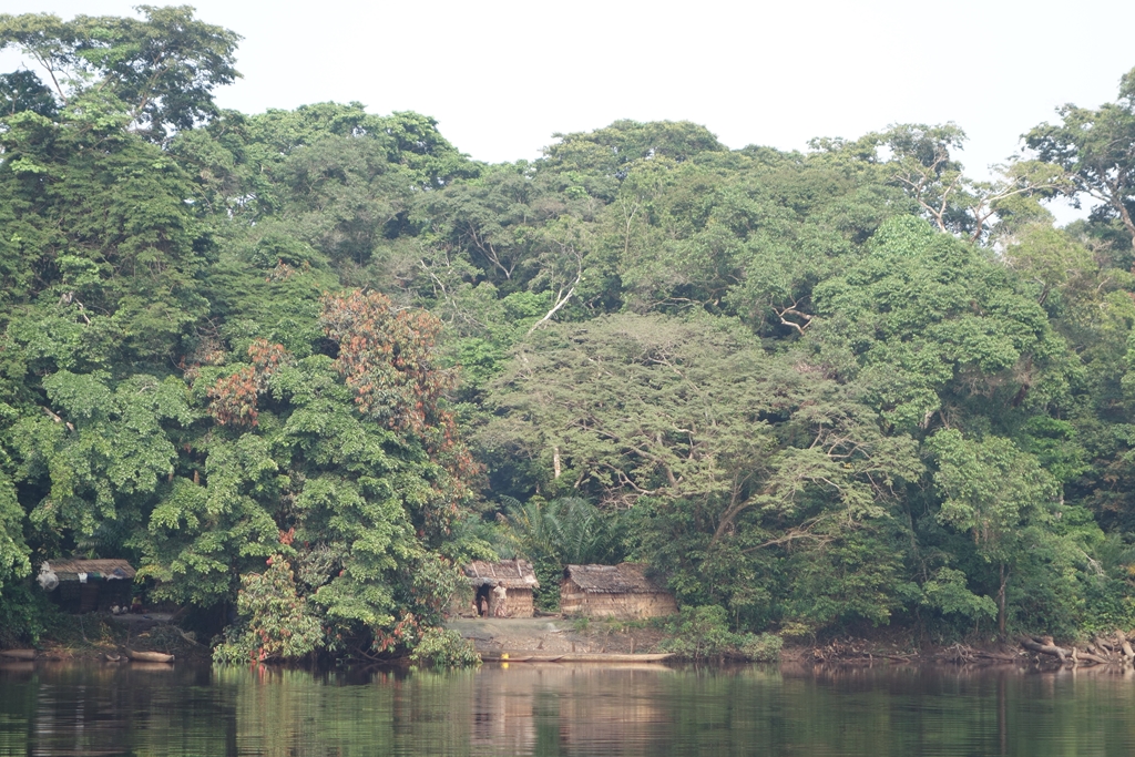 Patrimonio de la Humanidad: Parque Nacional Salonga. República ...