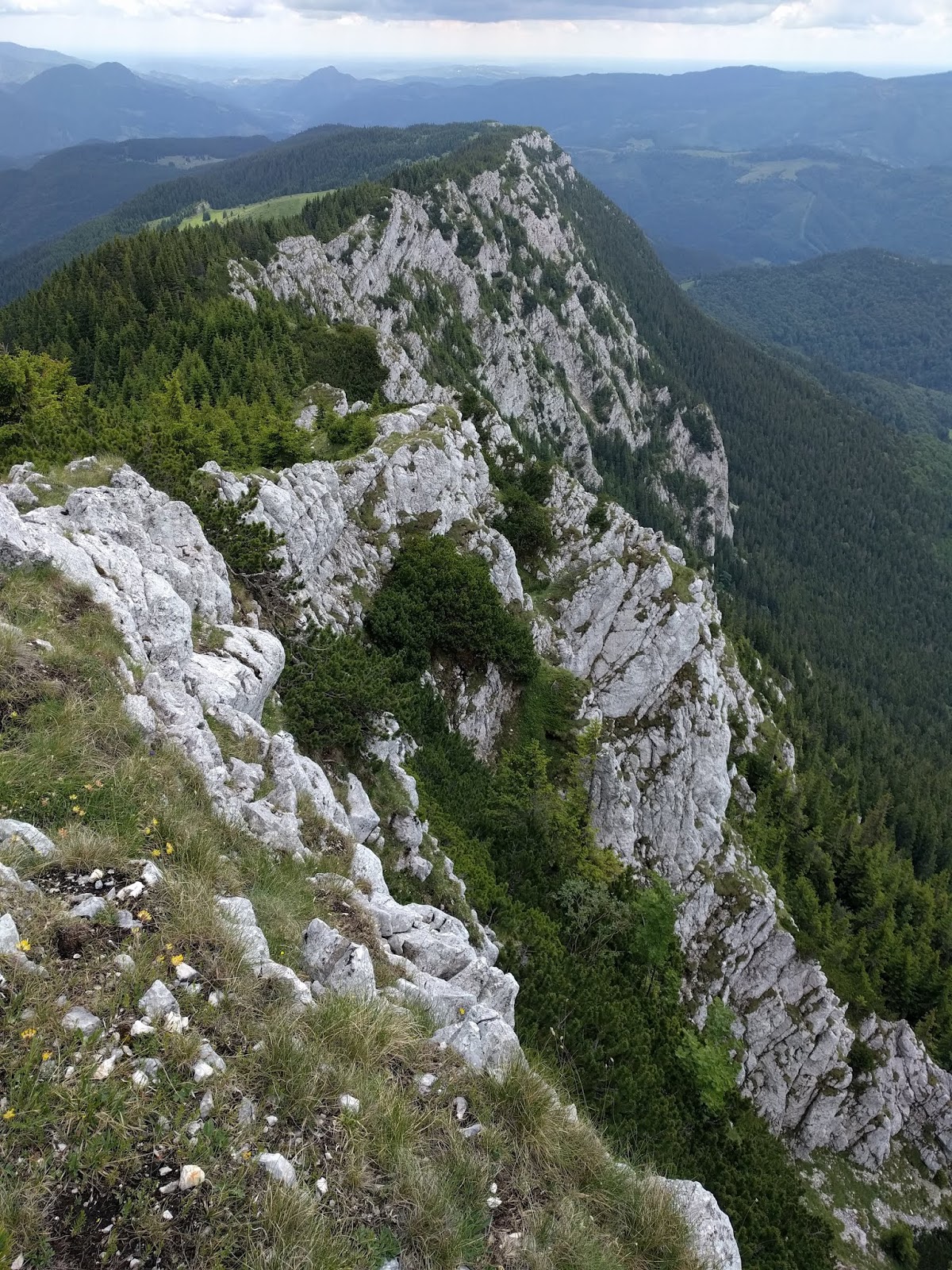 Blog de Calatorii si Drumetii Montane.: Piatra Craiului(Pestera-Saua ...