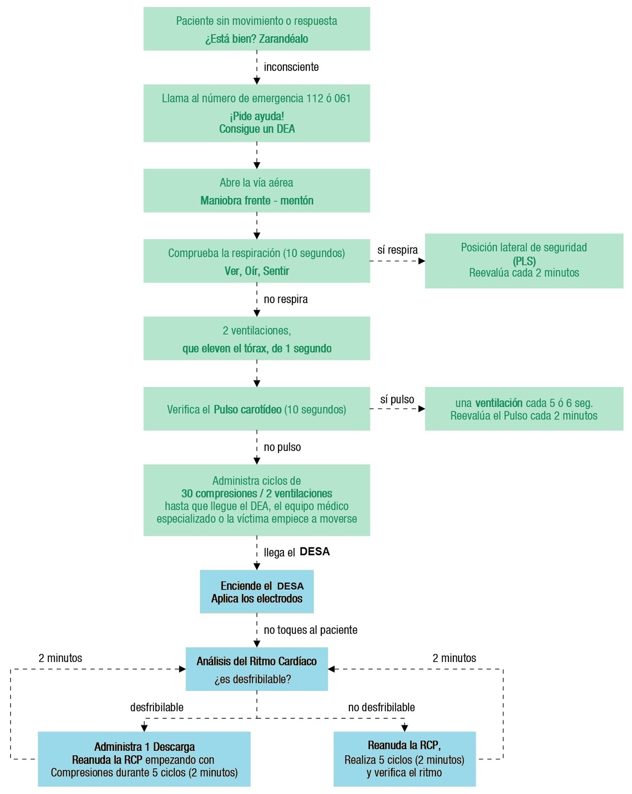 24 TES: Desfibrilación externa semiautomática (DESA).