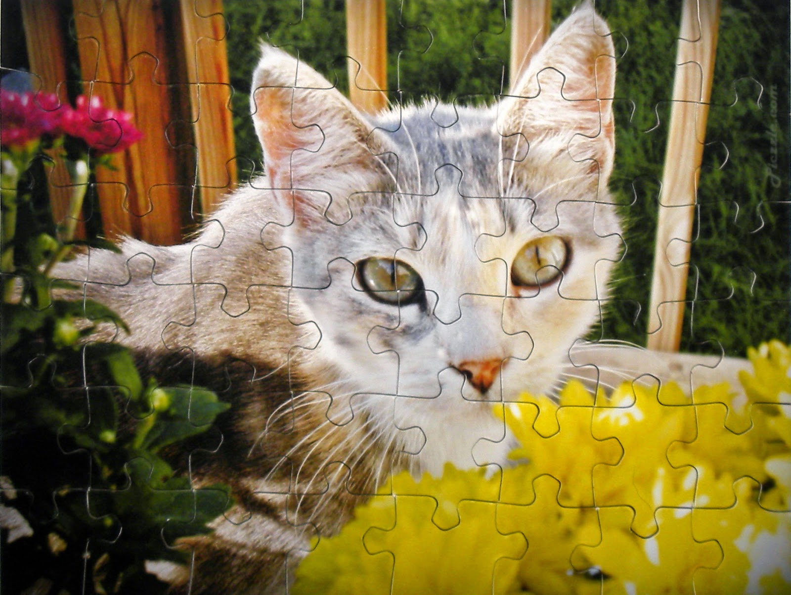 Pieces of Influence: Piczzle Picture Puzzle Review & GIVEAWAY!