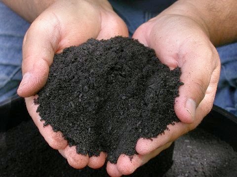 Blog de la clase de Biología y Geología de 1º de Bachillerato del IES ...