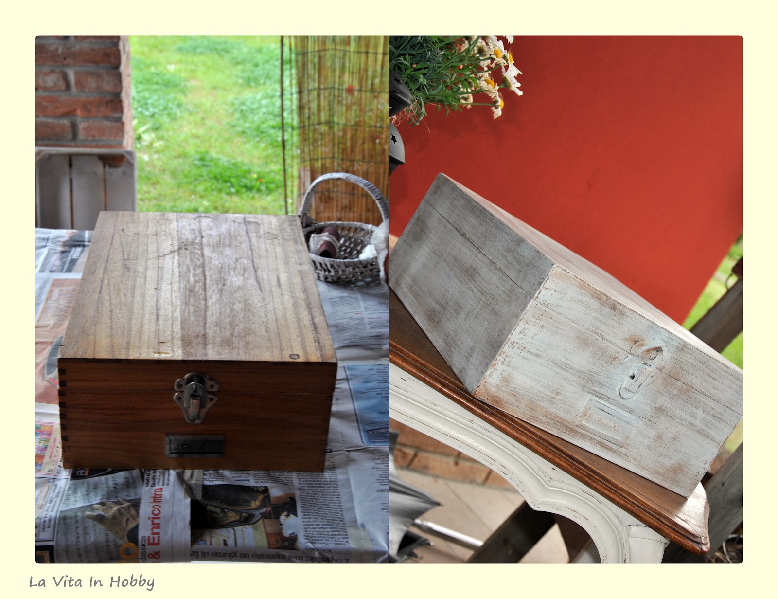 STELLA UN TESORO DEL MARE: PARLO DI LAURA ZANNI