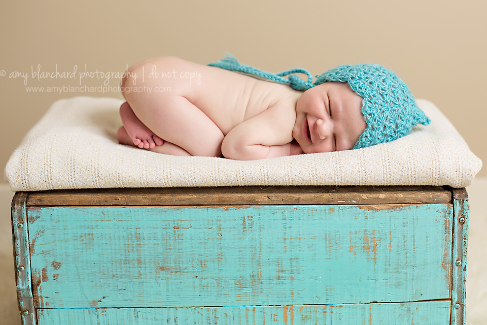 Antigone { 6 Days New } | Omaha, Nebraska Newborn Photographer - Amy ...