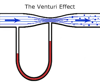 Pacific Science Center Life Sciences: Gooey Water Problems