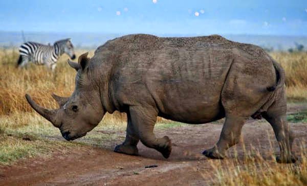 Ensalada de palabras: ABADA