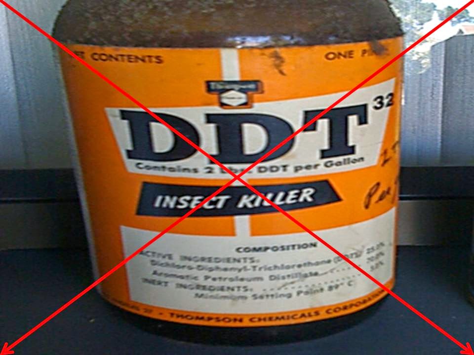 MPH 720 Blogs: Rachel Carson's Significant Contributions to the ...