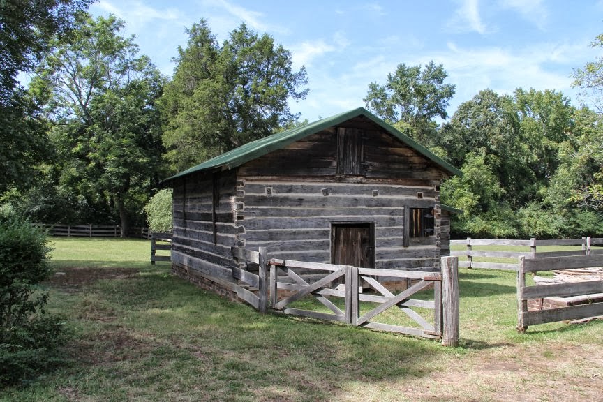 Rowan Oak – Stephen Bodio