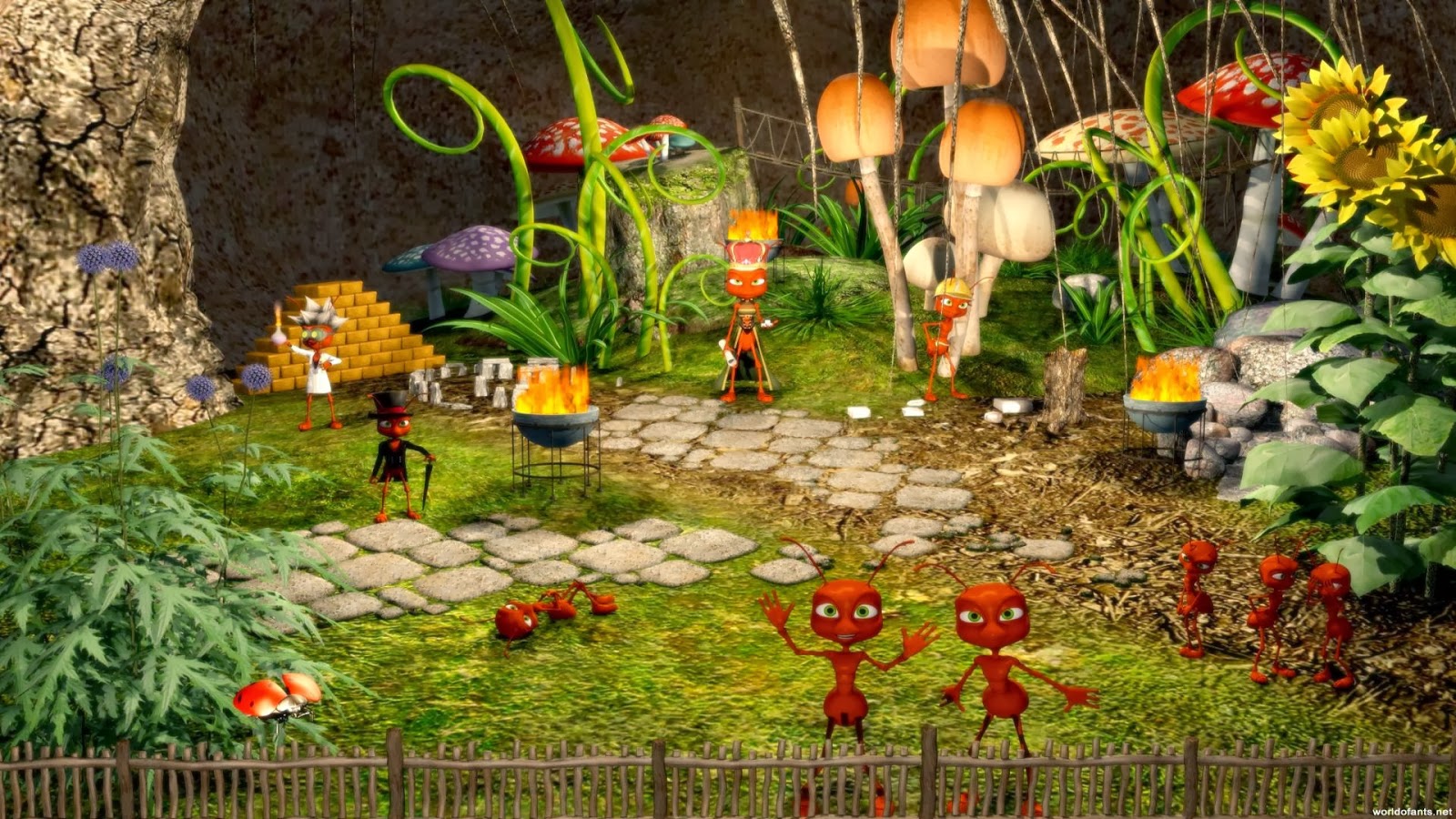 Ants Wallpaper on PC Free - beautiful desktop wallpapers 2014