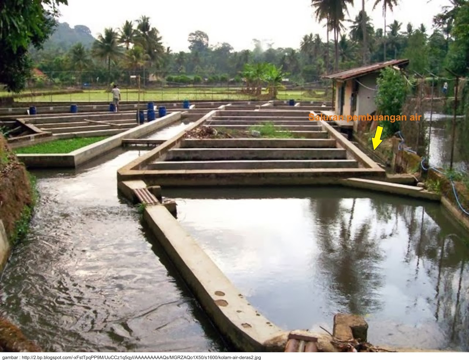 Wadah Budidaya Perikanan : Kolam Air Deras - Lalaukan