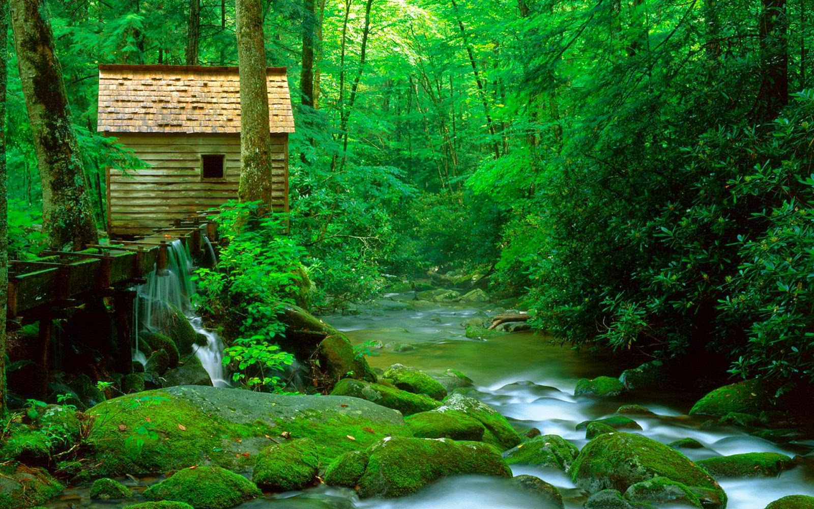 Ewallpics: 30 Lake Veiw HD Wallpapers