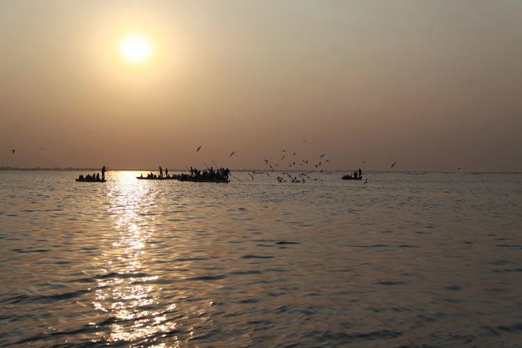 The Magic Tours Blog: Nal Sarovar Bird Sanctuary