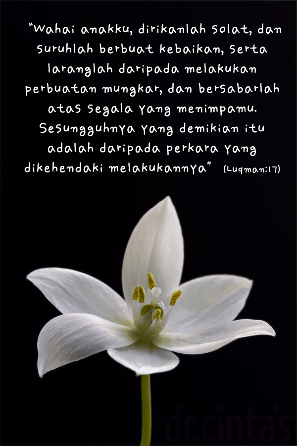 piece of me: mutiara kata untuk hati..