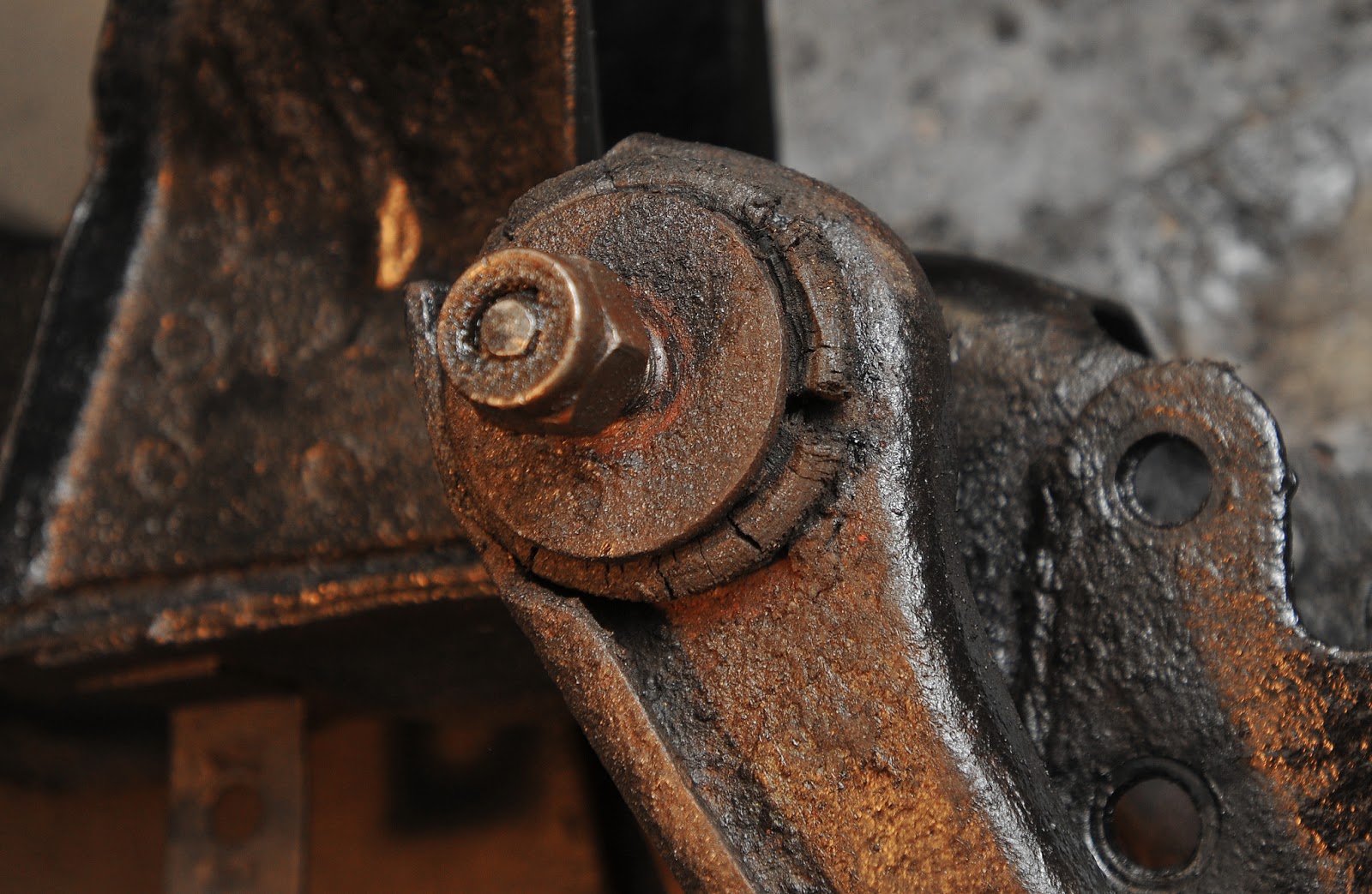 VIVA LA VIVA: Suspended in time.