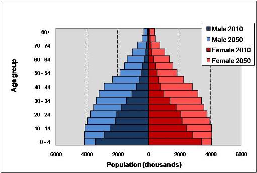 SocialStudiesAfrica: Population Pyramid