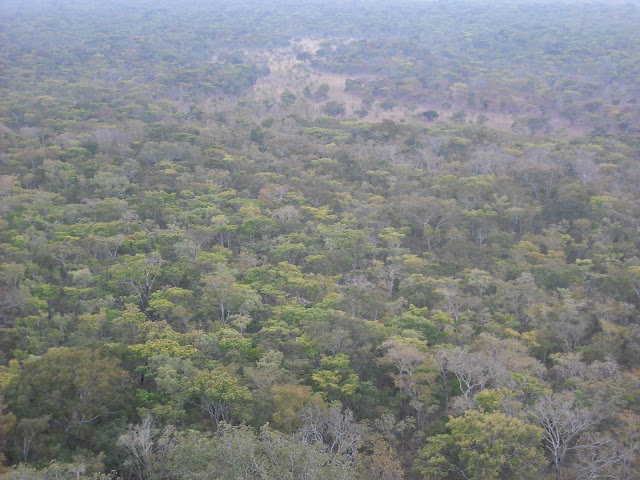 Leo in Malawi: Kasungu National Park - Black Rock - A view from the rock