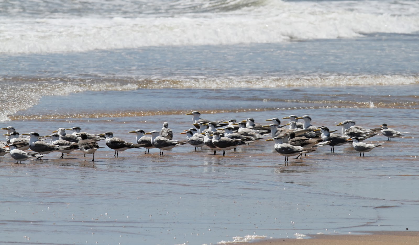 Simon and Karen Spavin: Sabaki River Mouth