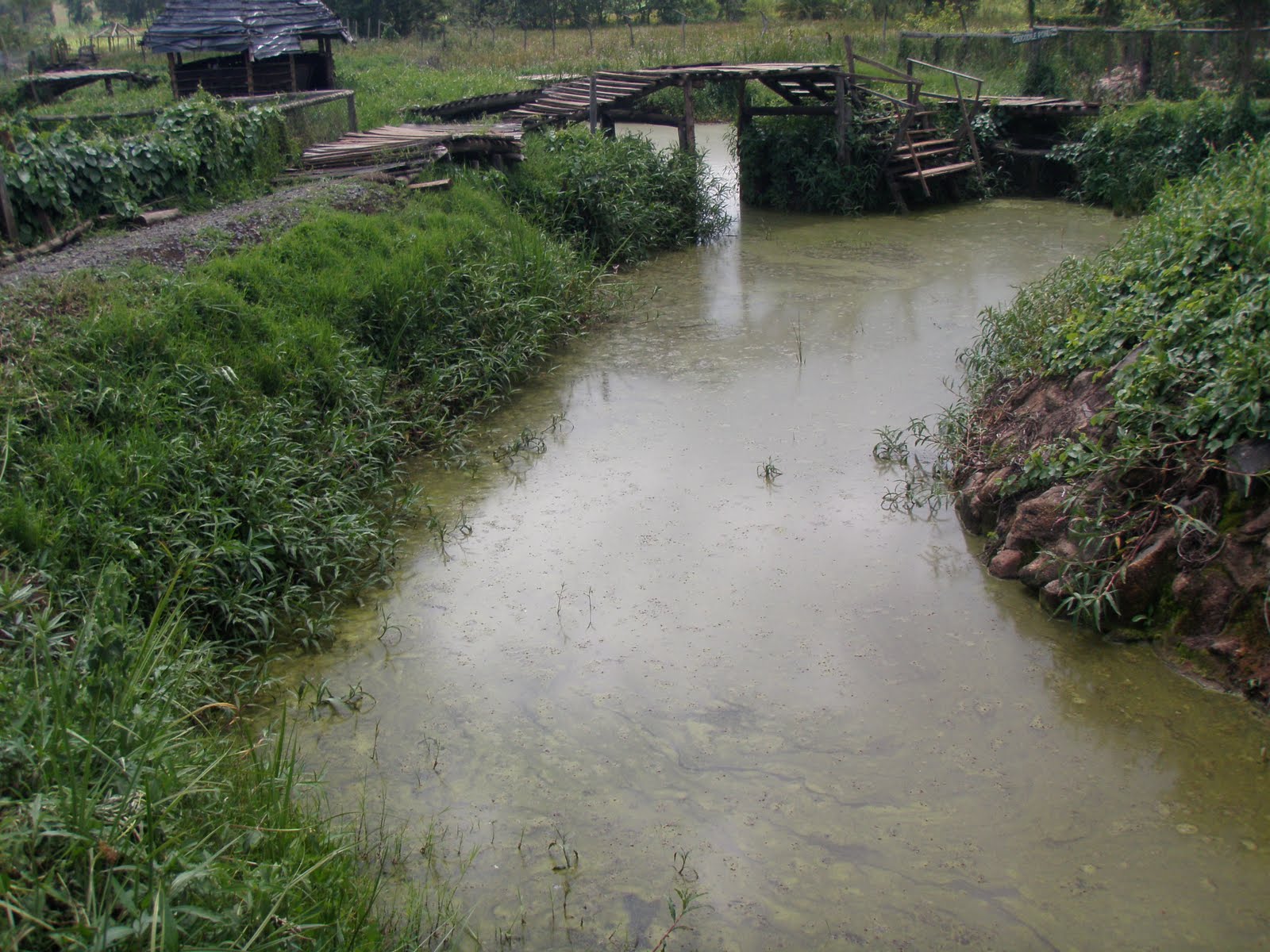 Kenya IUPUI 2011: Kitale Conservancy: Kitale, Kenya