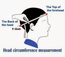 It's not magic, it's math!: Cranial Circumference