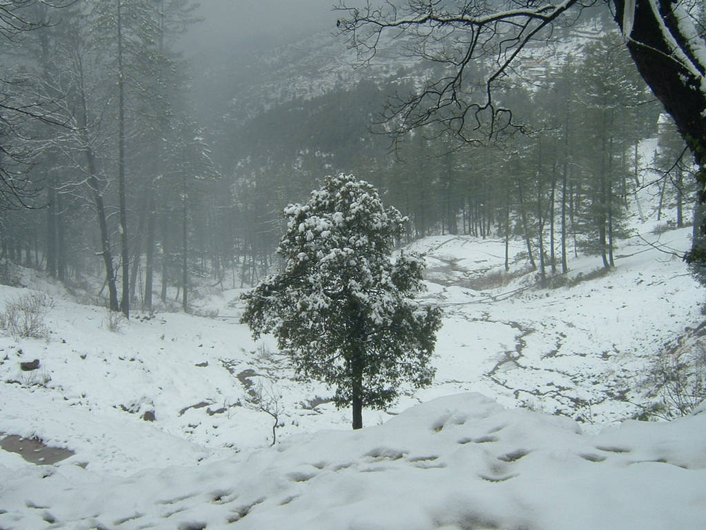 explore Pakistan: Snow Fall in pakistan