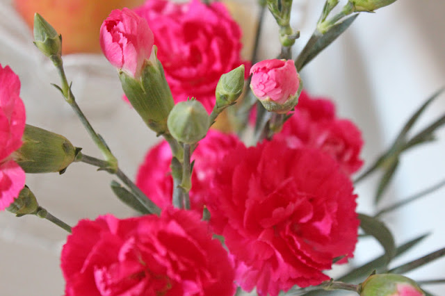 Kultakutri: Neilikka on ruusuni