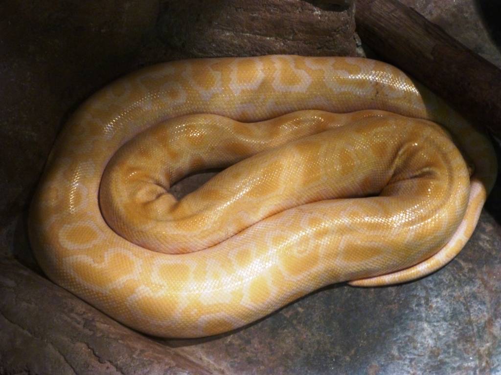 Travels of a Danventurer as a Young Man: Aquaria KLCC