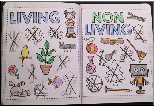 Living Things Interactive Notebook and Activities for Kids | The ...