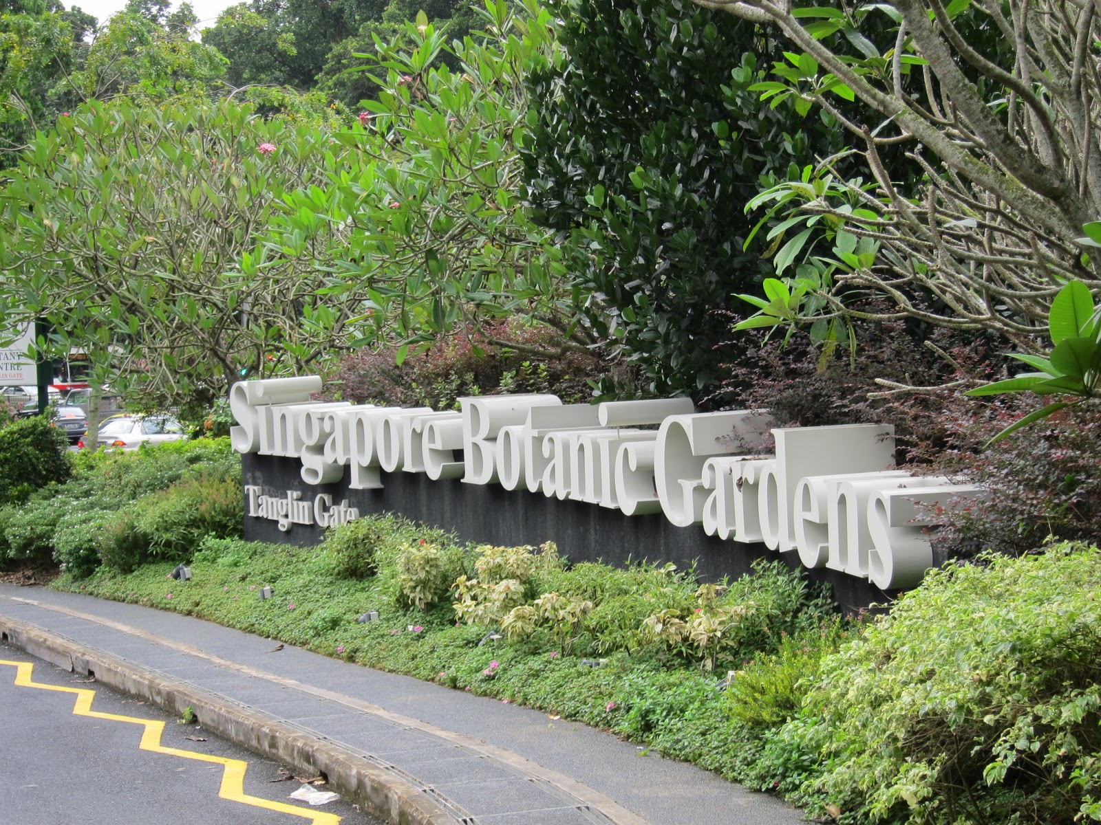 Singapore Botanic Gardens – My Singapore Travel