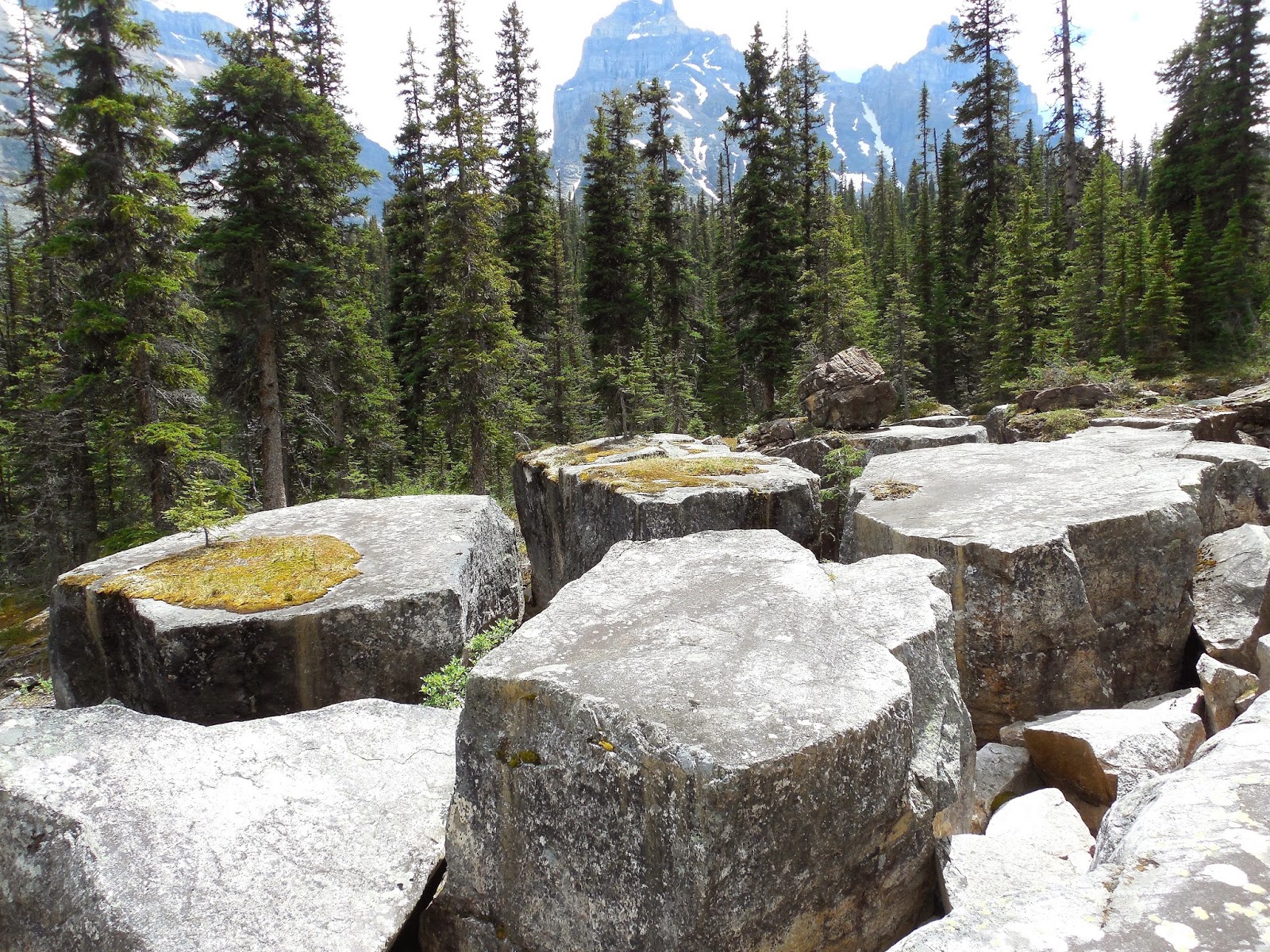 Büchersüchtig: [BLOGTOUR zu "Das Tal Season 2.4 Die Entscheidung] Mein ...
