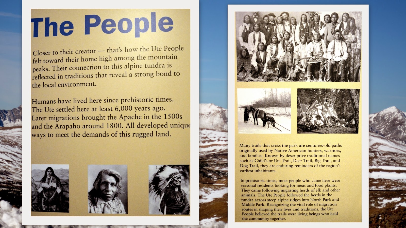 Mille Fiori Favoriti: Touching the Sky on the Rocky Mountain Tundra!