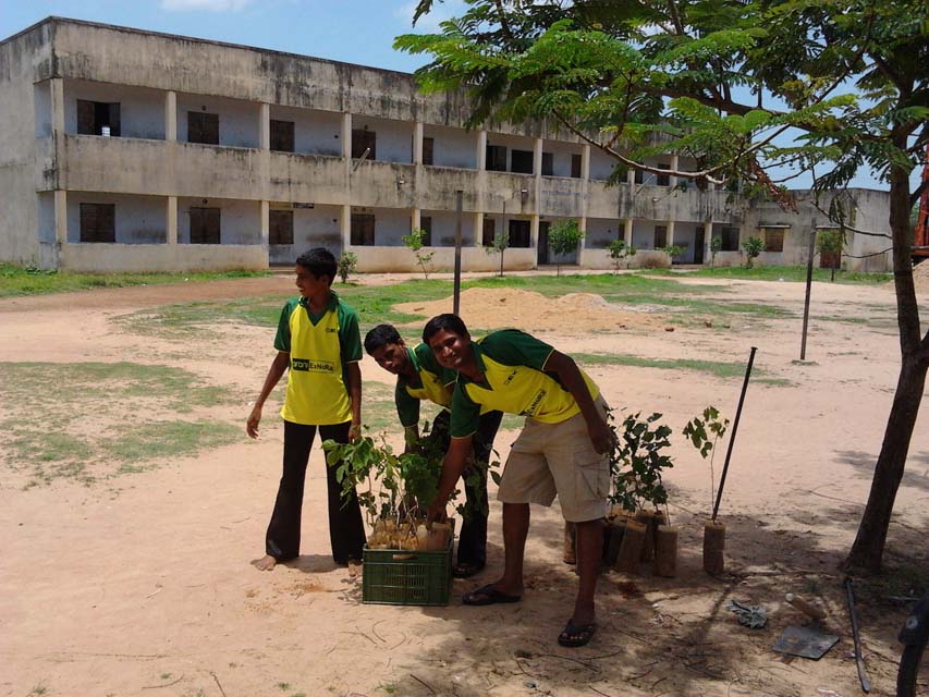Pillars of India: The Green 500 Tree Plantation Project at Arani by ...