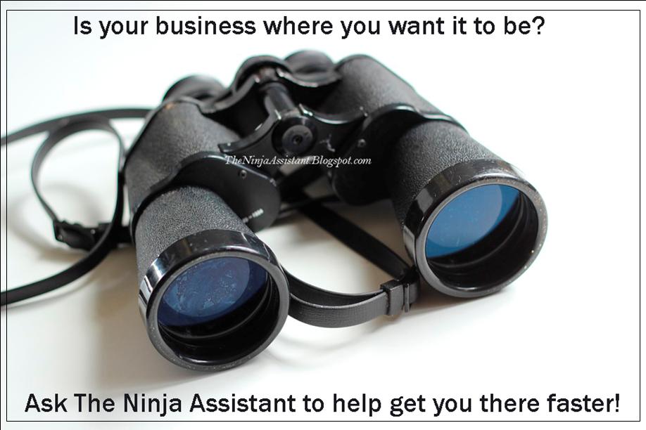 The Ninja Assistant