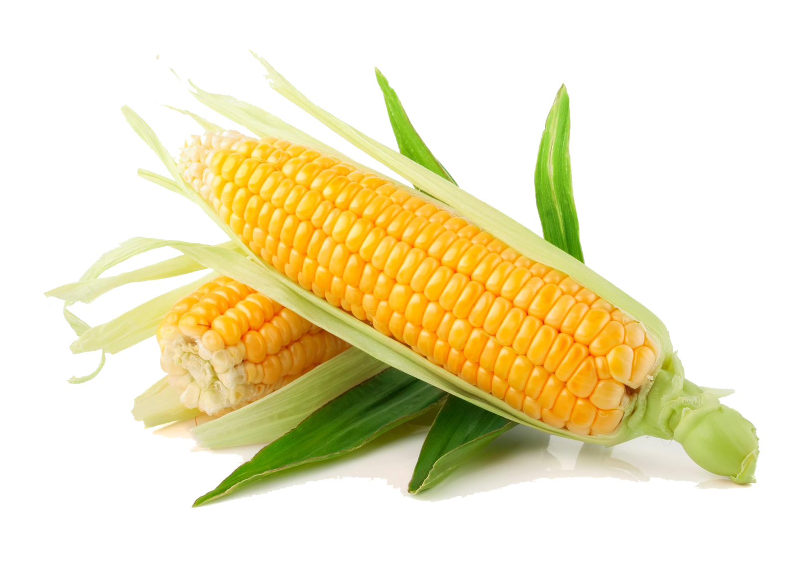 ® Colección de Gifs ®: CHOCLO - MAÍZ - CORN