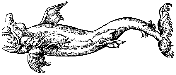 The Study: The Piscatorial Presentation of the Oceanographic Oddities